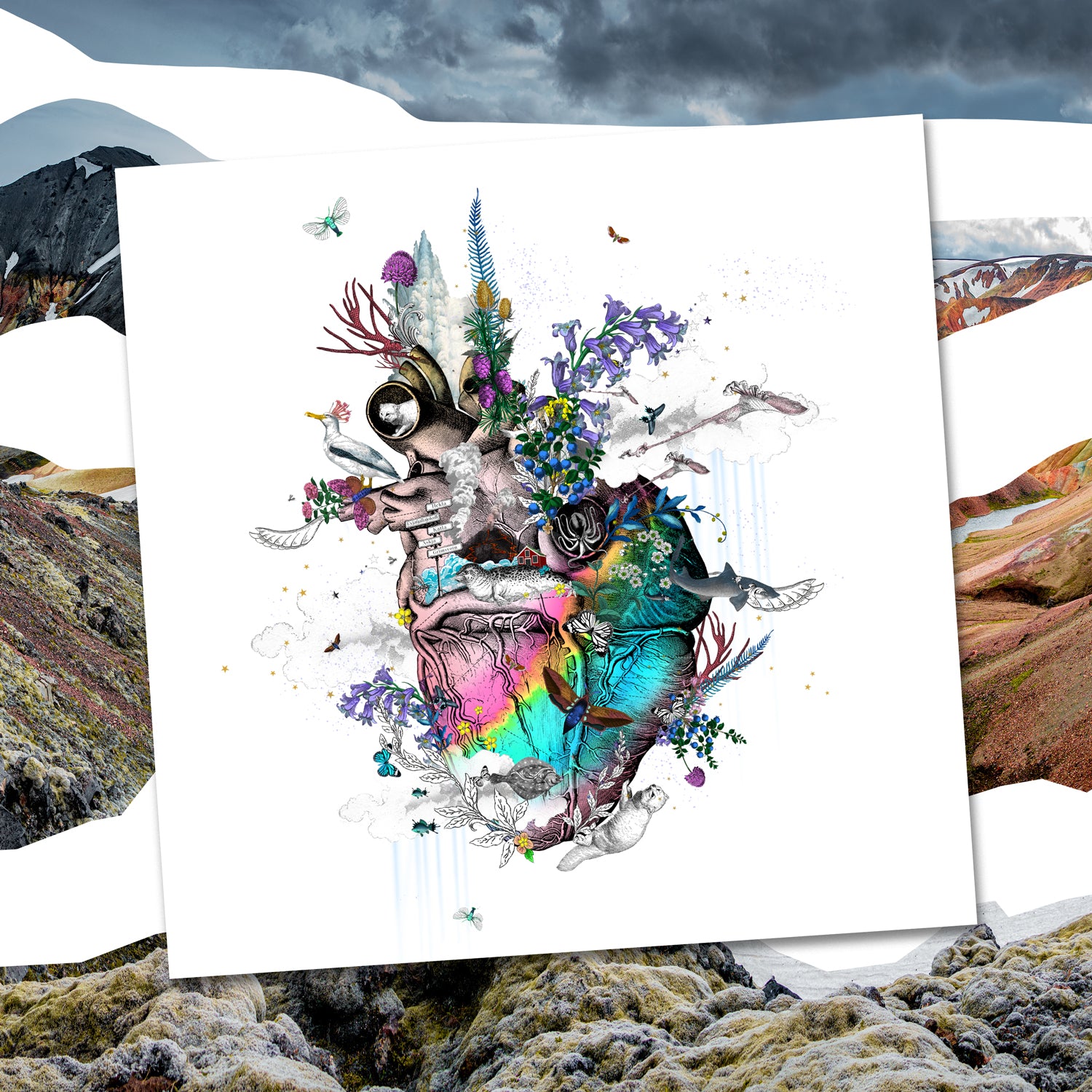 Icelandic Bee and Heart - Art Print Collection