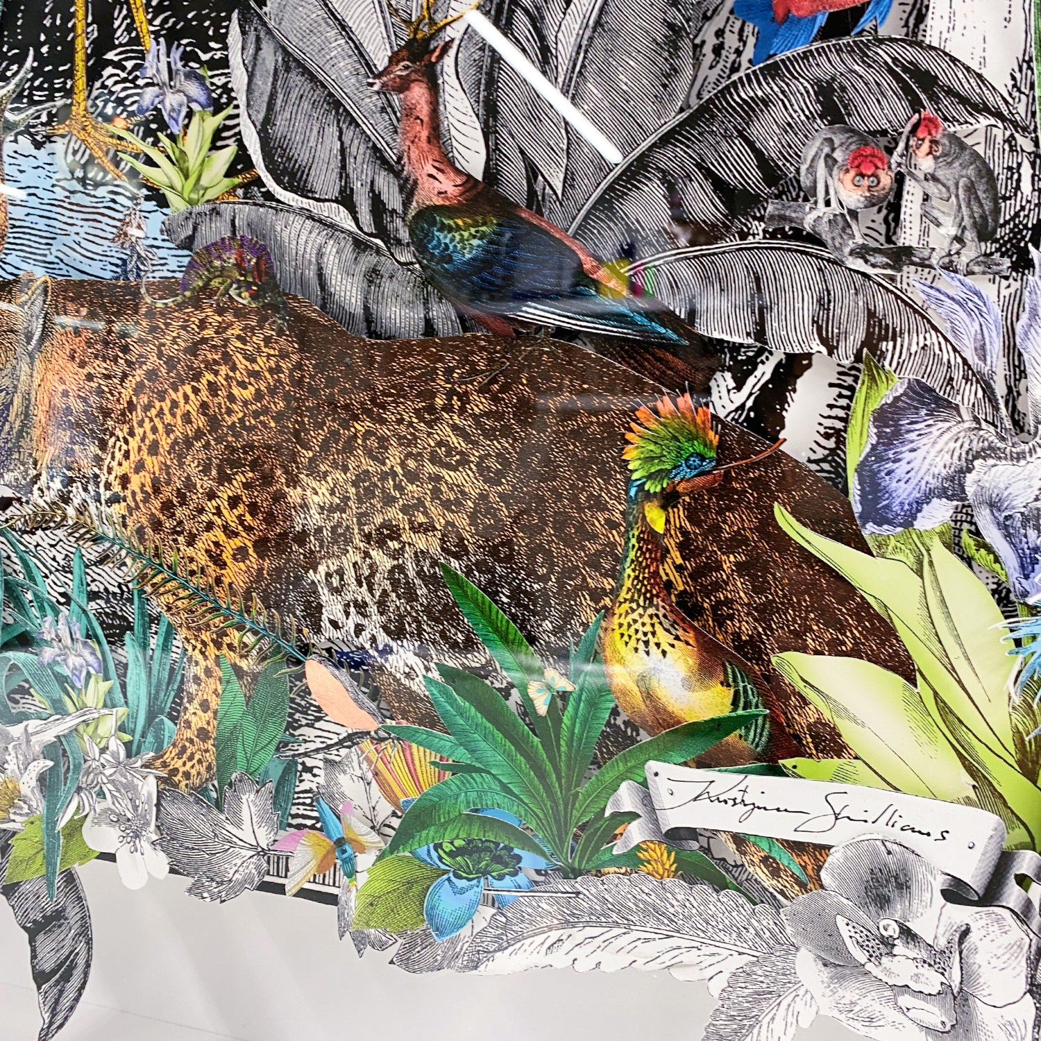The Ink Jungle - Original Artwork– Kristjana S Williams Studio