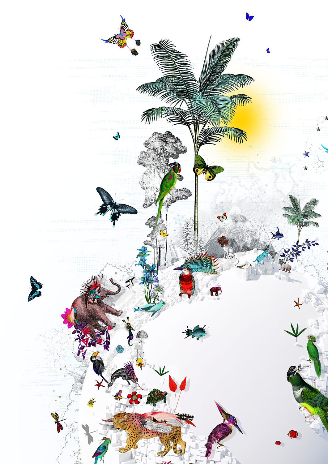 Isol Hnottur - Art Print | Kristjana S Williams Studio