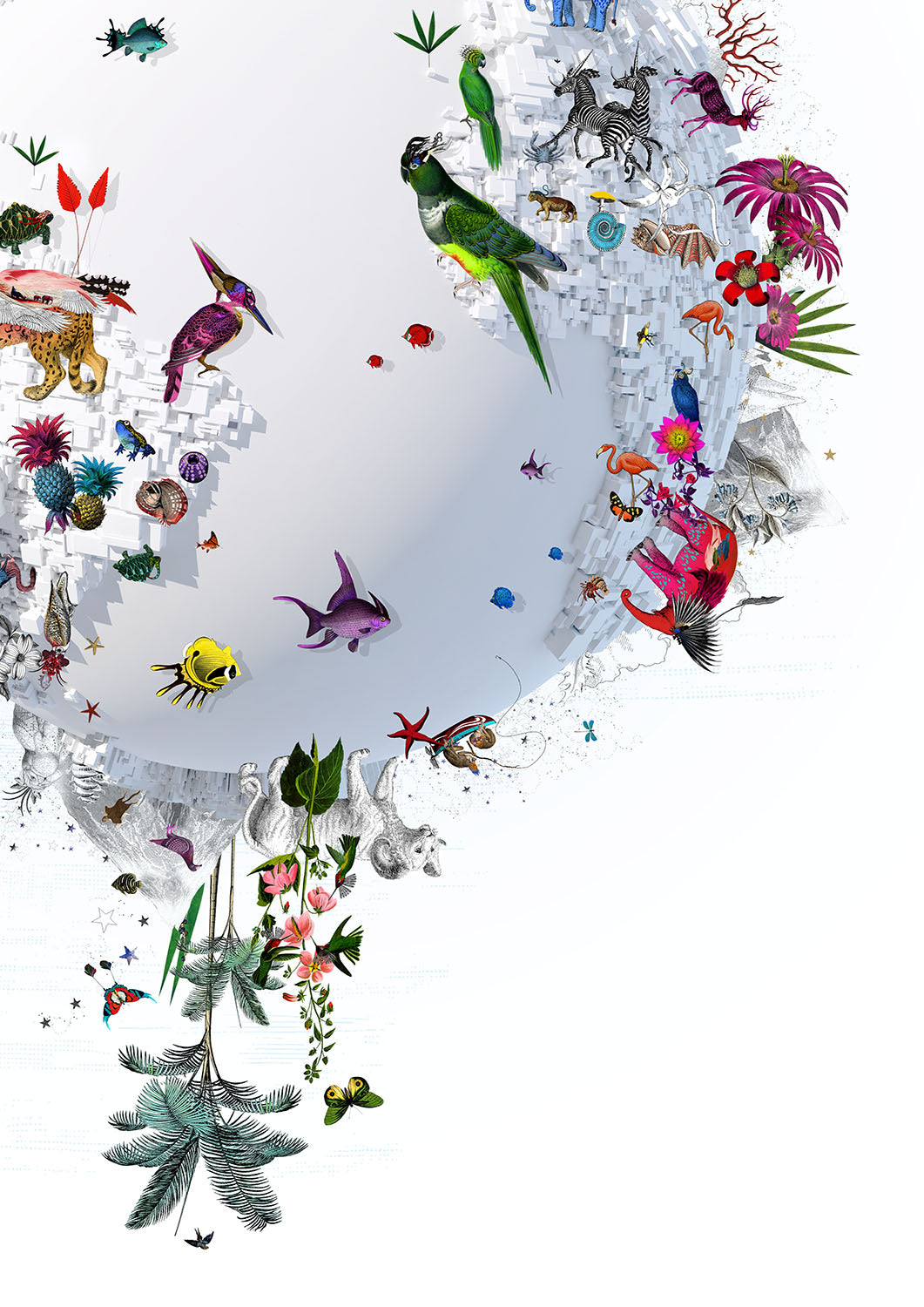 Isol Hnottur - Art Print | Kristjana S Williams Studio